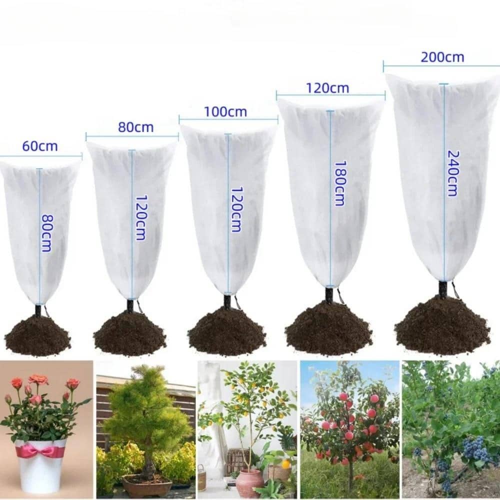 Augalų dangos apsauga Žieminiai šilti dangčiai Medžių krūmų Augalų ...